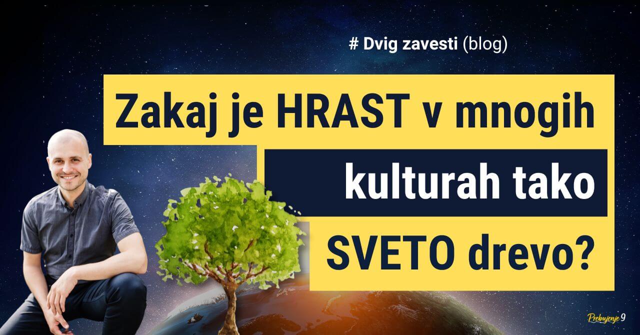 Zakaj je hrast v mnogih kulturah tako sveto drevo? - Prebujenje 9